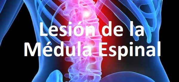 Lesiones De La M dula Espinal LME Y Accidentes Automovil sticos lesiones-de-la-m-dula-espinal-lme-y-accidentes-automovil-sticos
